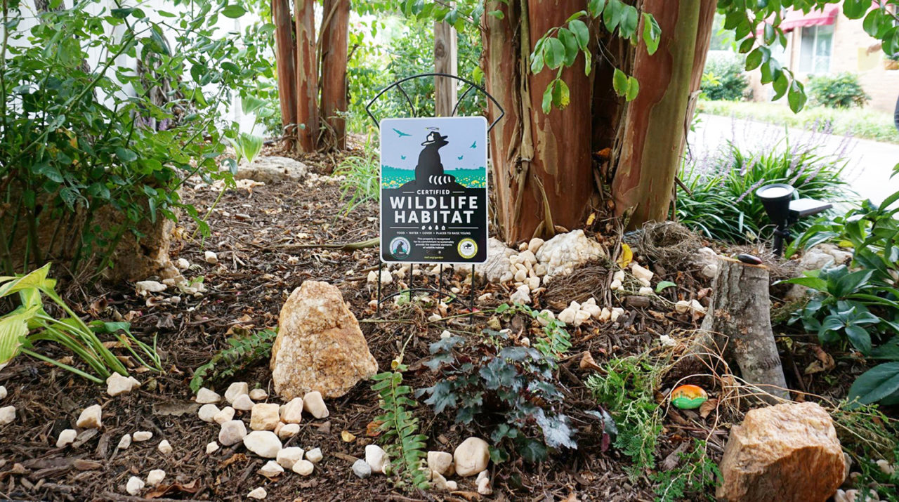 Charlotte Wildlife Stewards | Chapter of the North Carolina Wildlife ...